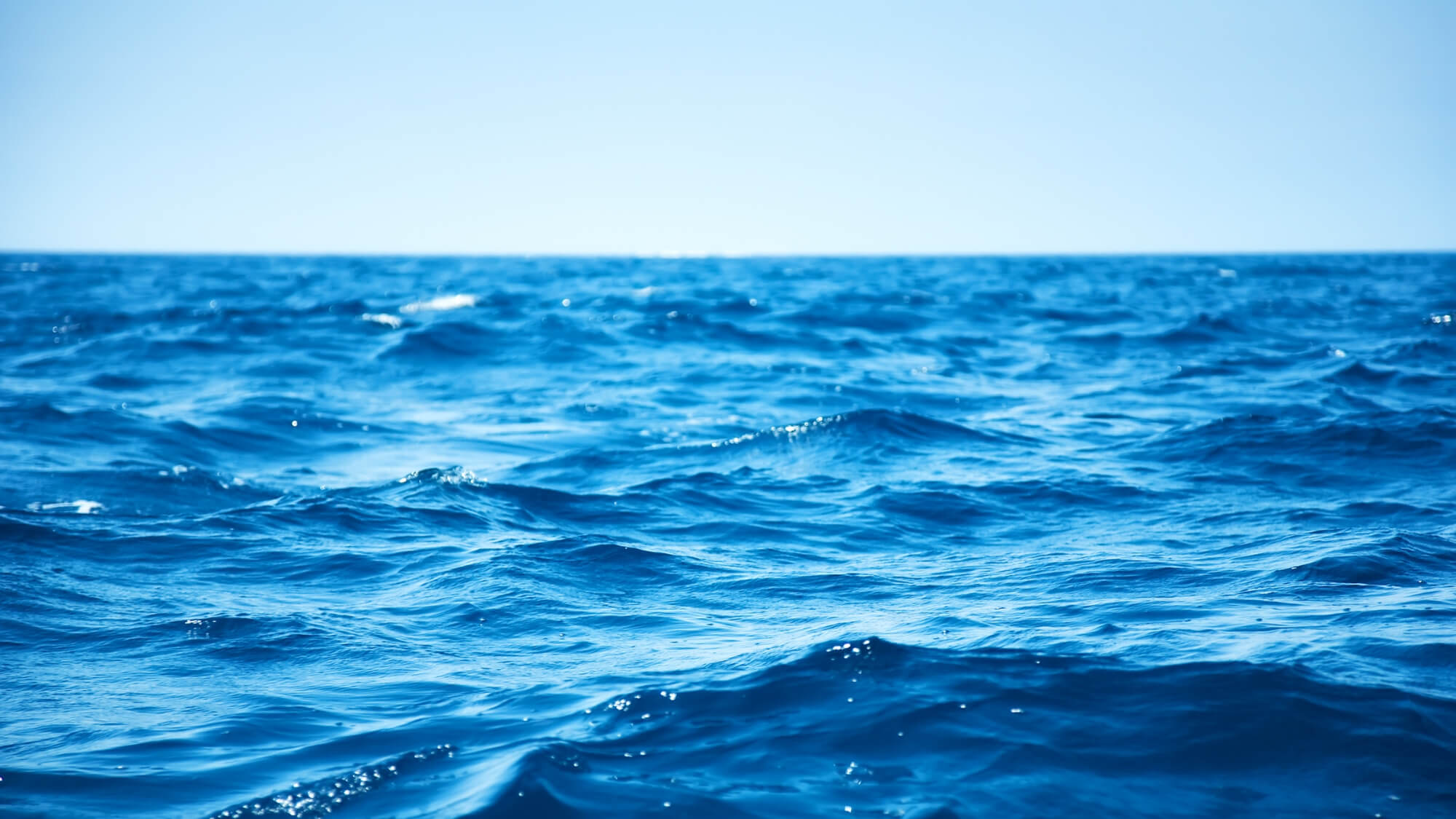 Contact - Ocean Acidification Research for Sustainability Programme